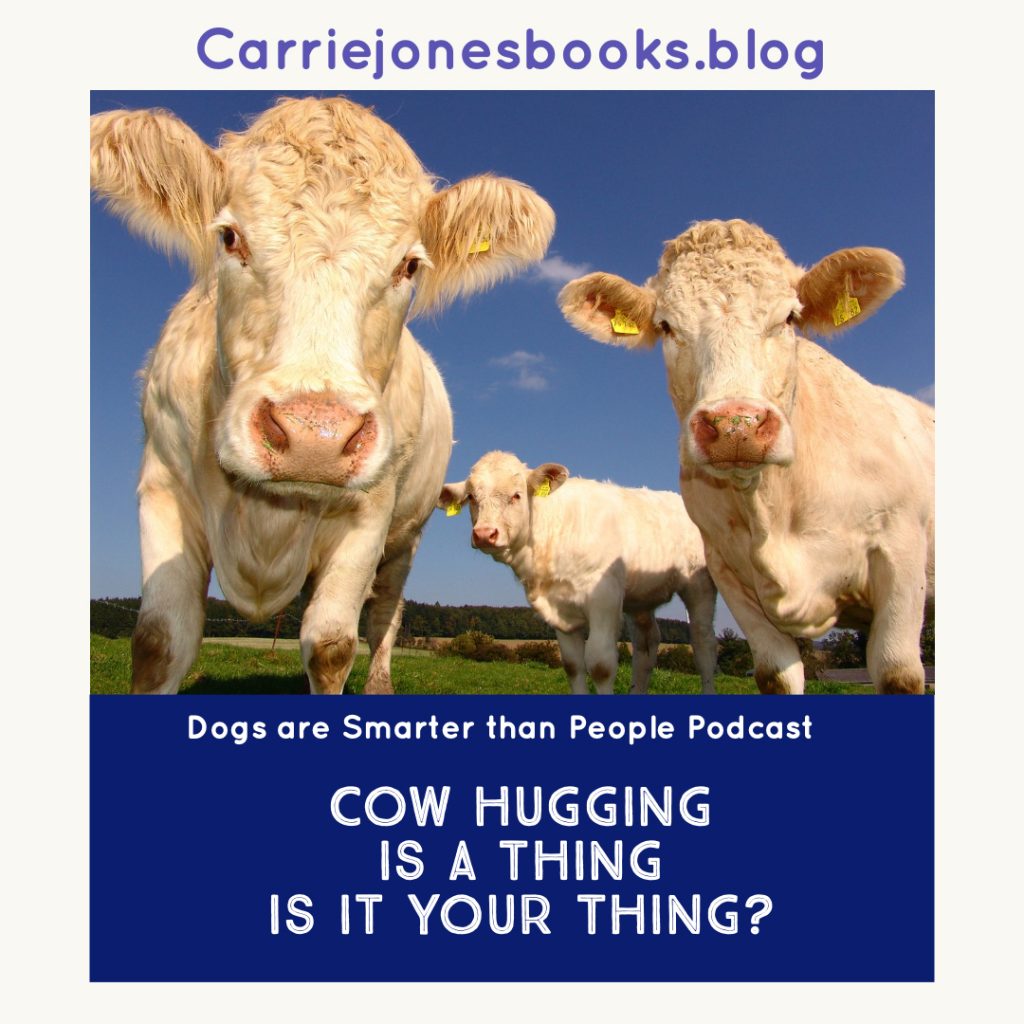 Hug Those Cows – Cow Hugging, Wellness and the Weirdness of this World ...