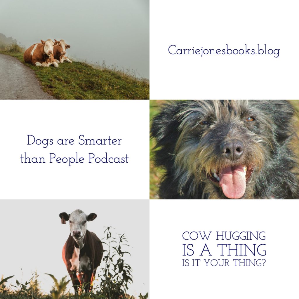 Hug Those Cows – Cow Hugging, Wellness and the Weirdness of this World ...