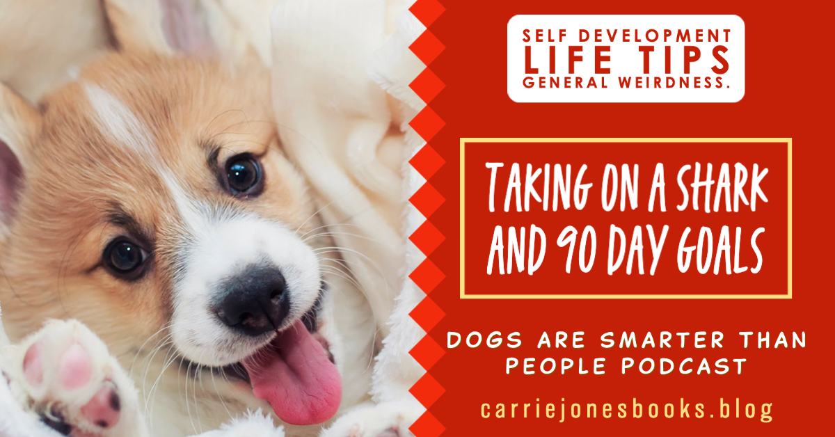 90 Day Goals Can Change Your Life – Carrie Jones Books